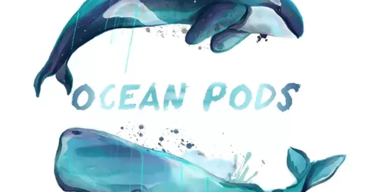 オーシャンポッズ（Ocean Pods）｜ボードゲーム情報